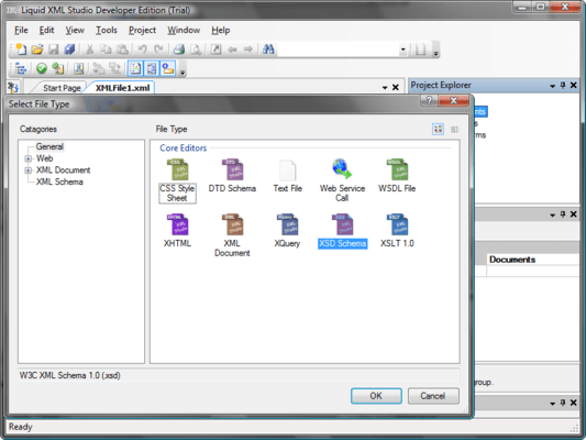 Design and Develop XML Schemas and Applications.