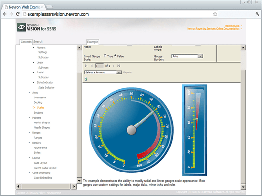 ssrs gauge example