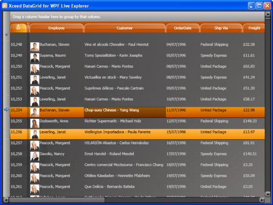 Xceed Datagrid For Wpf Standard Screenshots 