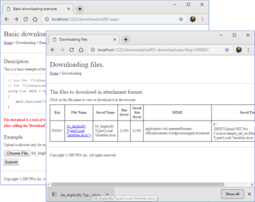 DEXTUpload .NET Pro（日本語版）v5.4.1
