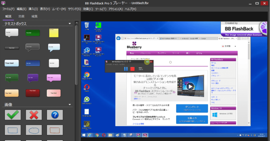 FlashBack Pro （日本語版） V5