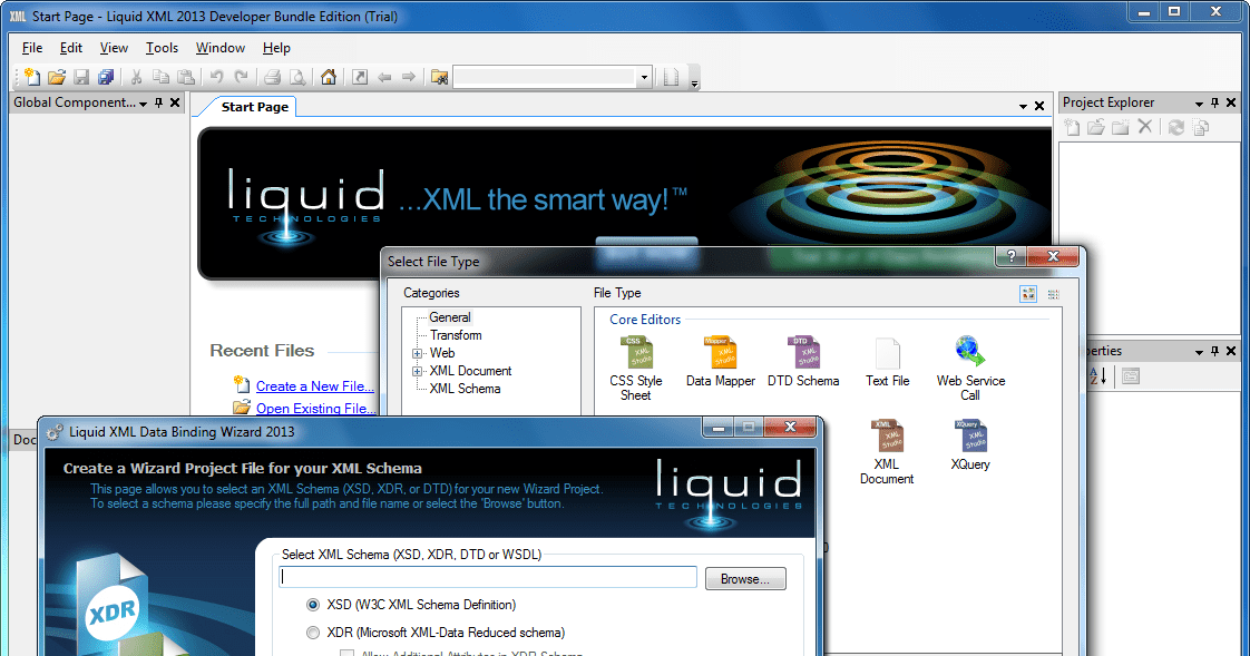 Liquid XML Developer Bundle 2017