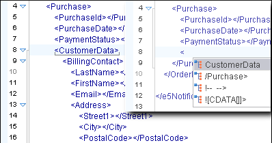 oXygen XML Editor Professional V19.1