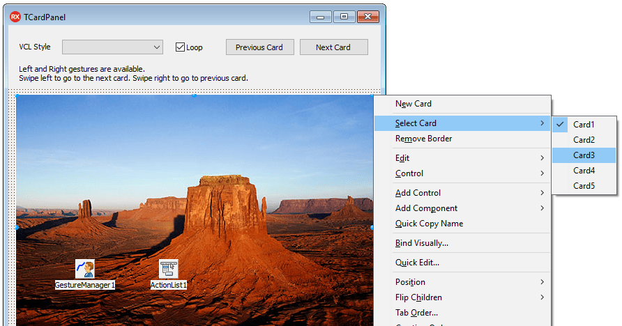 Delphi Professional 10.2 Tokyo Release 2 (10.2.2)