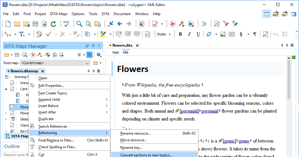 oXygen XML Author Professional V20