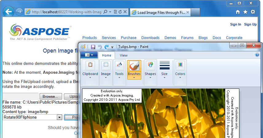 Aspose.Imaging for .NET V18.4