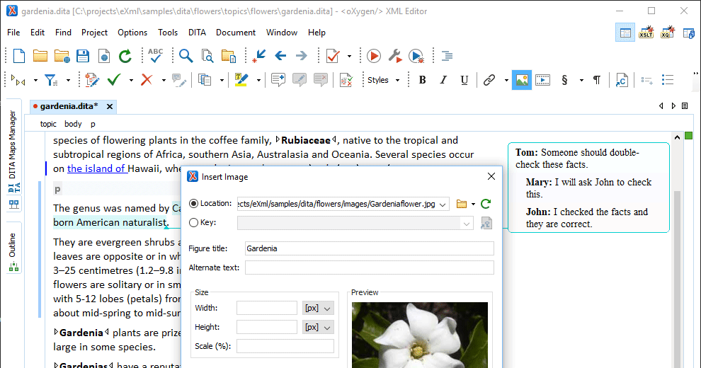 Oxygen XML Editor Enterprise V21.0