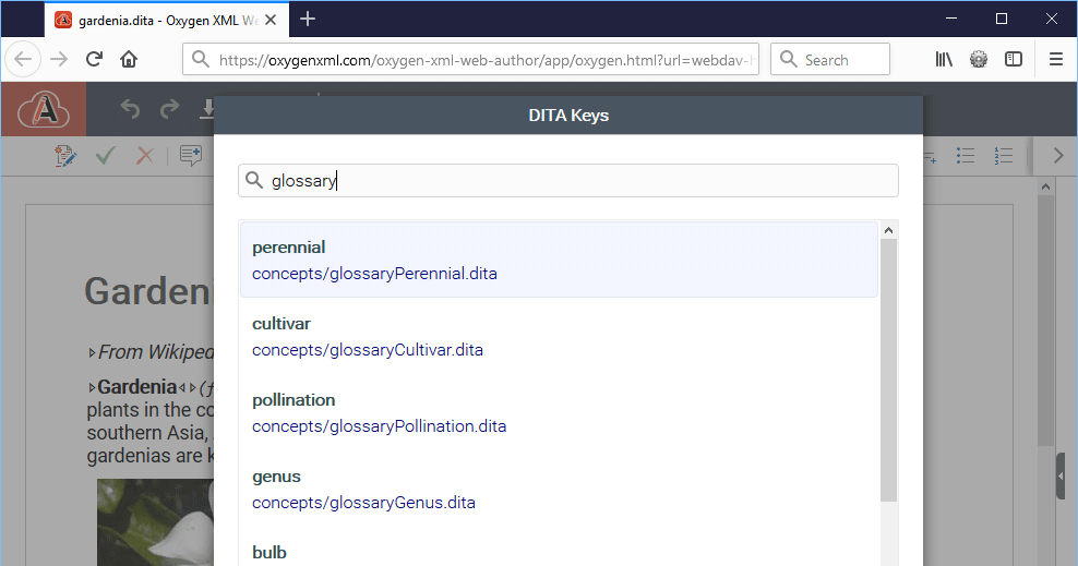Oxygen XML Web Author V21.0