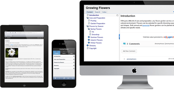 Oxygen XML WebHelp V21.0