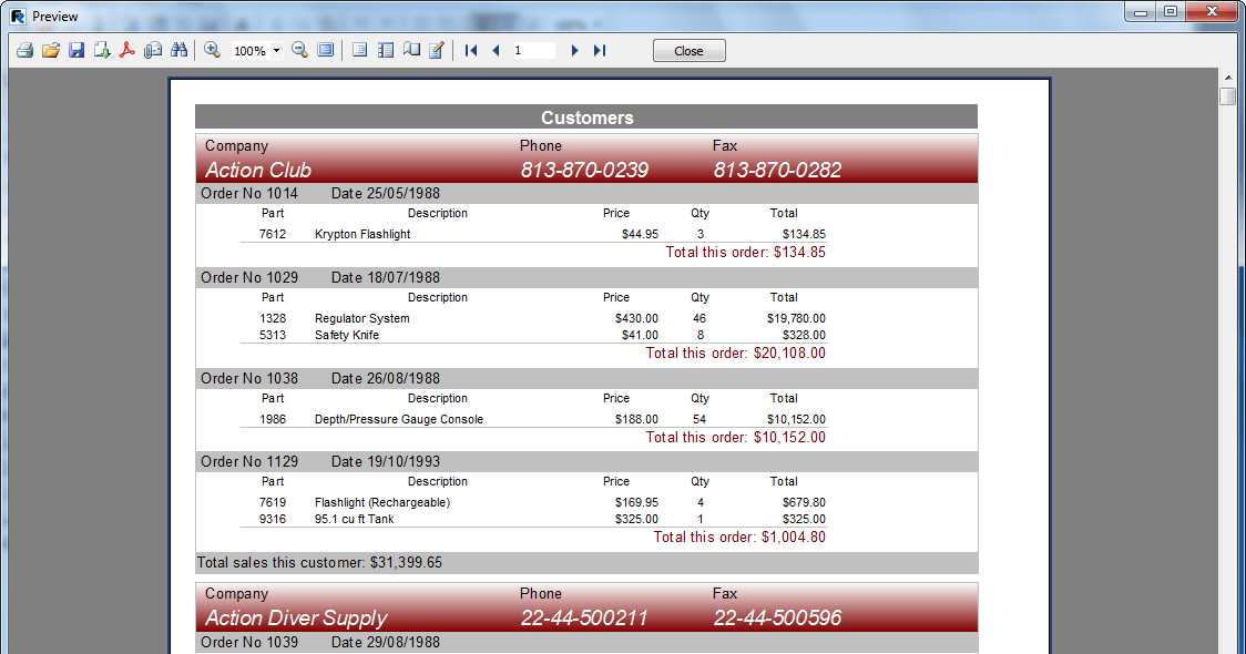 FastReport VCL Professional Edition v6.3