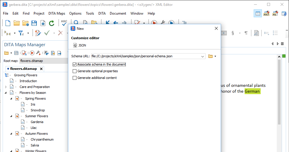Oxygen XML Developer Professional V21.1
