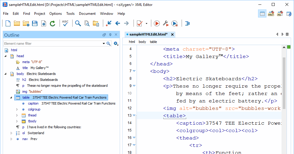 Oxygen XML Editor Professional V21.1