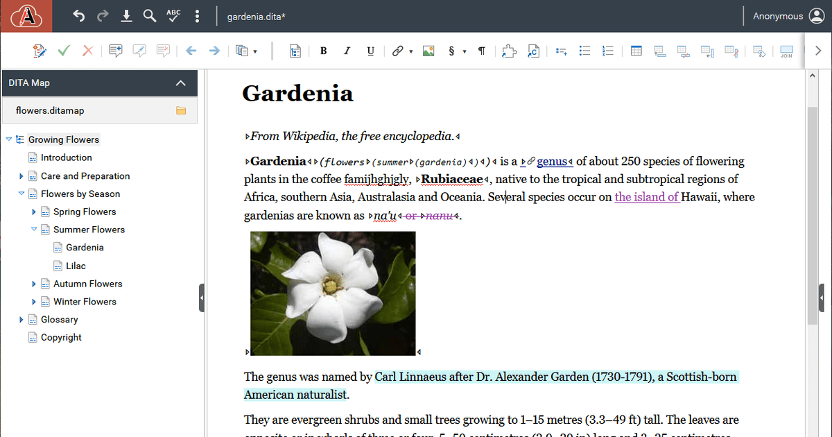 Oxygen XML Web Author V21.1.1