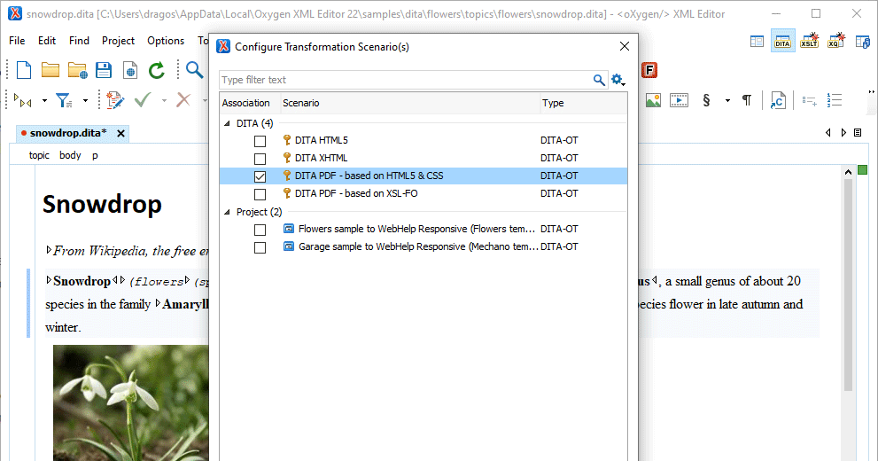 Oxygen XML Author Enterprise V22