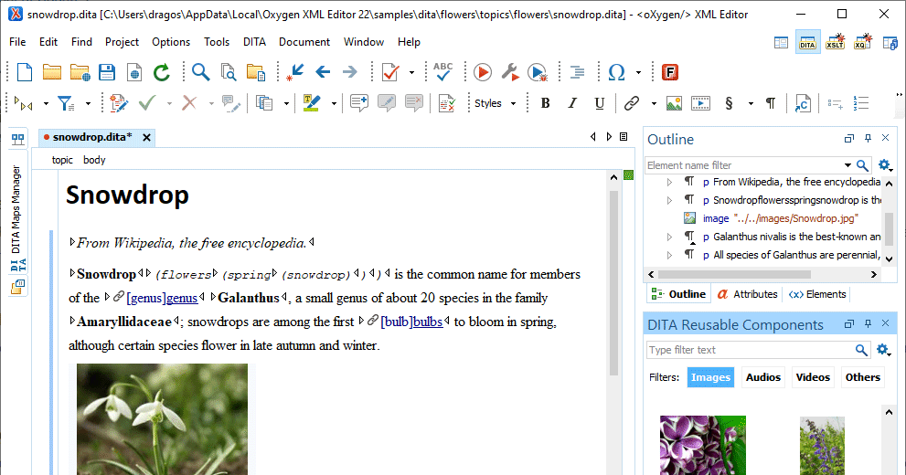 Oxygen XML Author Professional V22