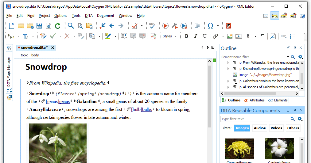 Oxygen XML Editor Professional V22