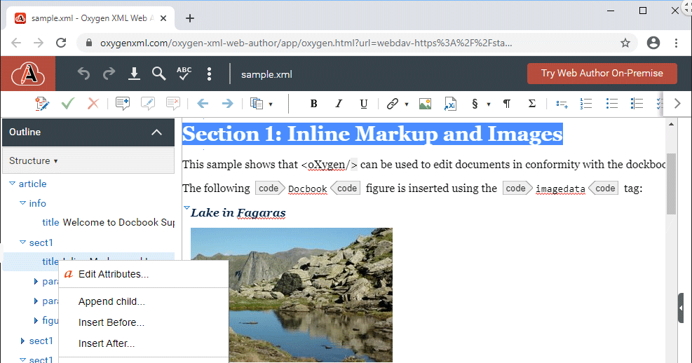 Oxygen XML Web Author V22.1