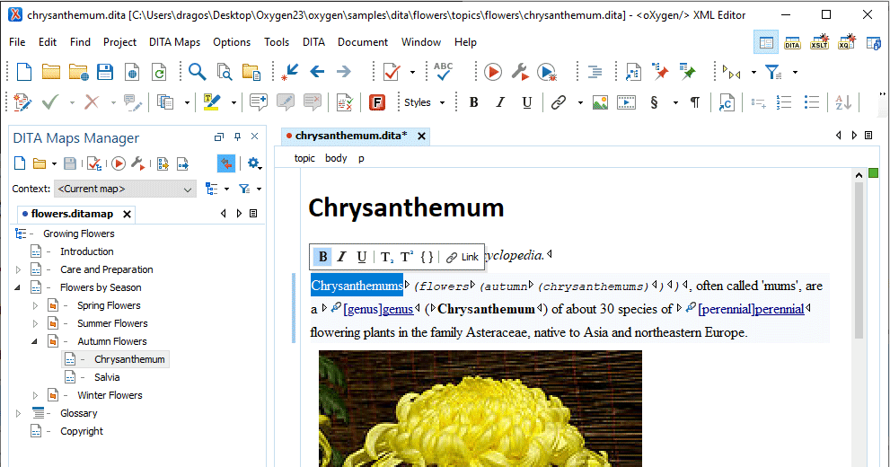 Oxygen XML Editor Enterprise V23.0
