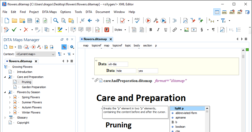 Oxygen XML Author Enterprise V23.0