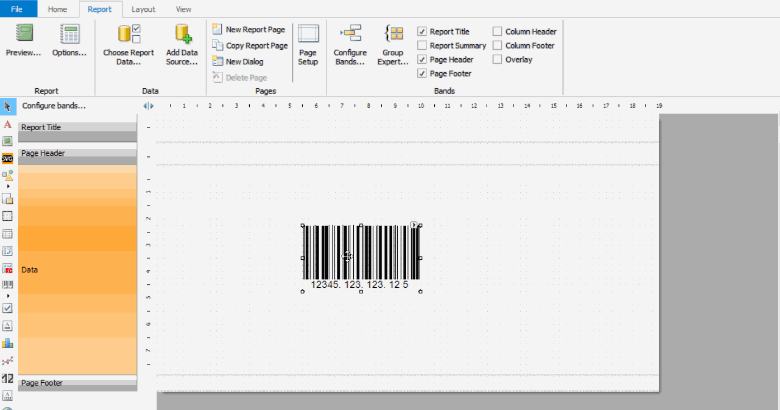 FastReport.Net WinForms 2021.1