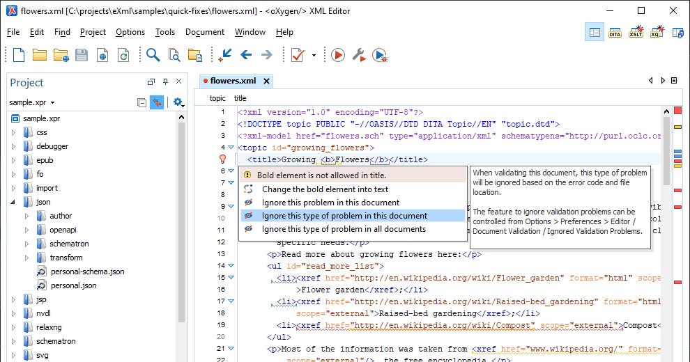 Oxygen XML Author Professional V23.1