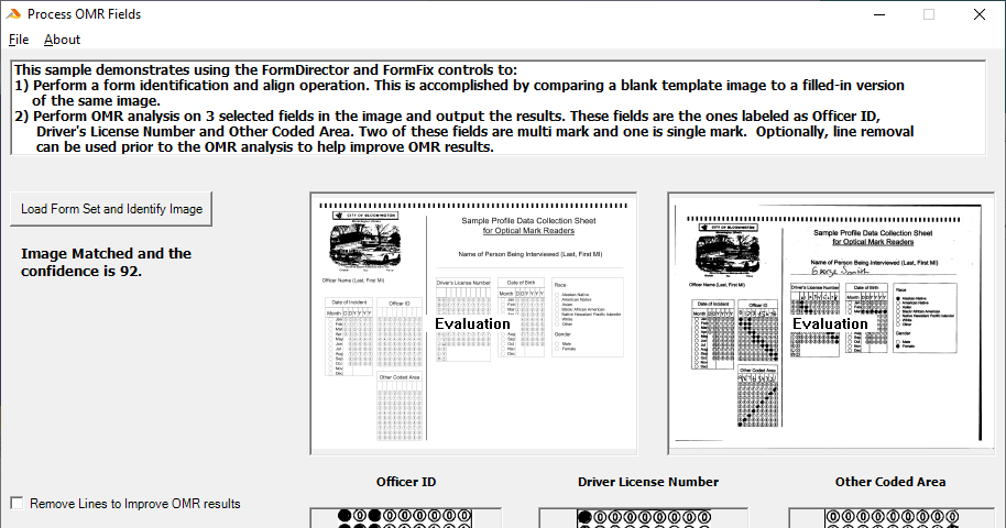 FormFix Professional .NET v6.0