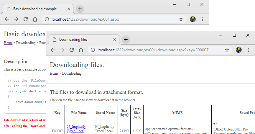 DEXTUpload .NET Pro（日本語版）v5.4.1