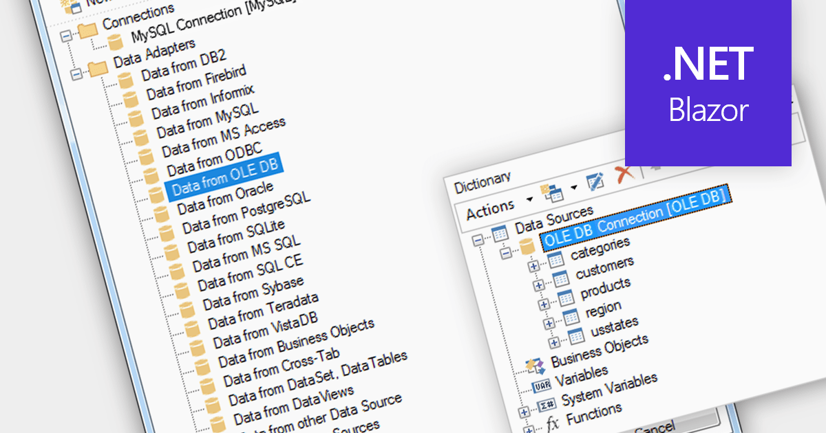 Connecting Data Sources To Blazor Reports Via Oledb