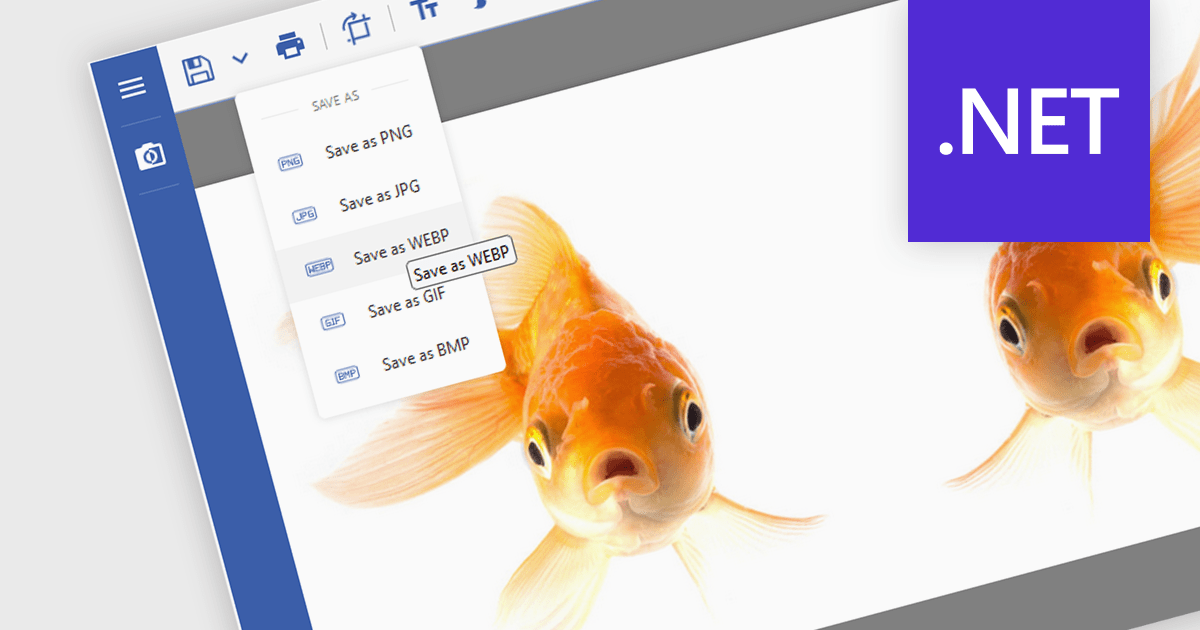 Let Your App Handle Multiple Image Formats