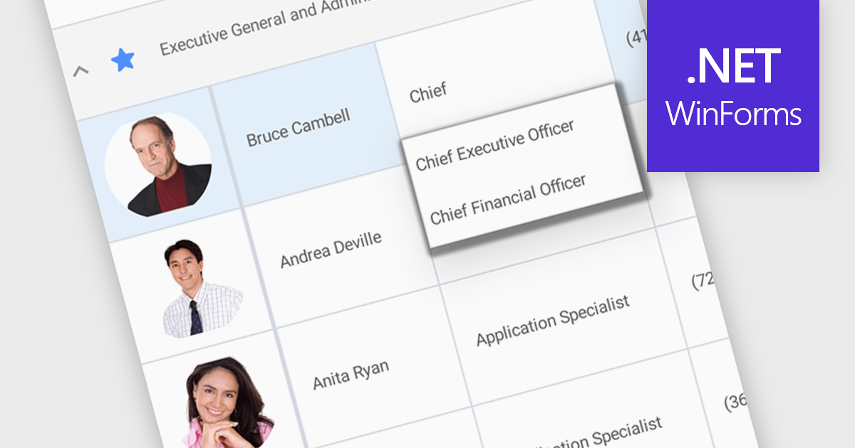 Optimize Data Input in .NET WinForms Grids