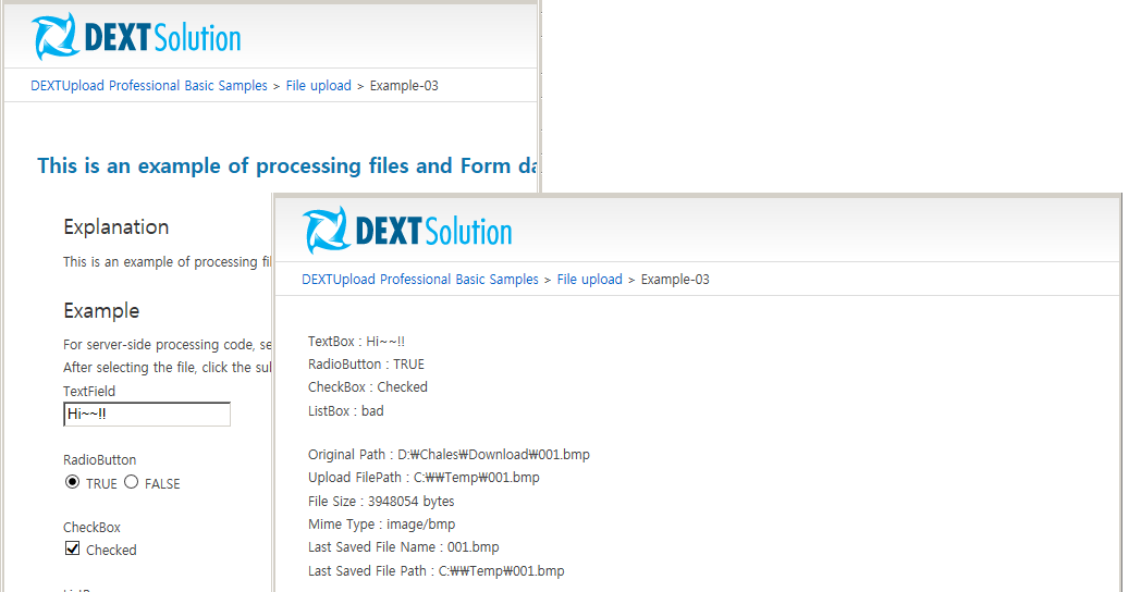 DEXTUpload Pro v4.2.4
