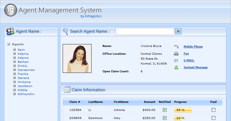 Silverlight grid supports RIA Services