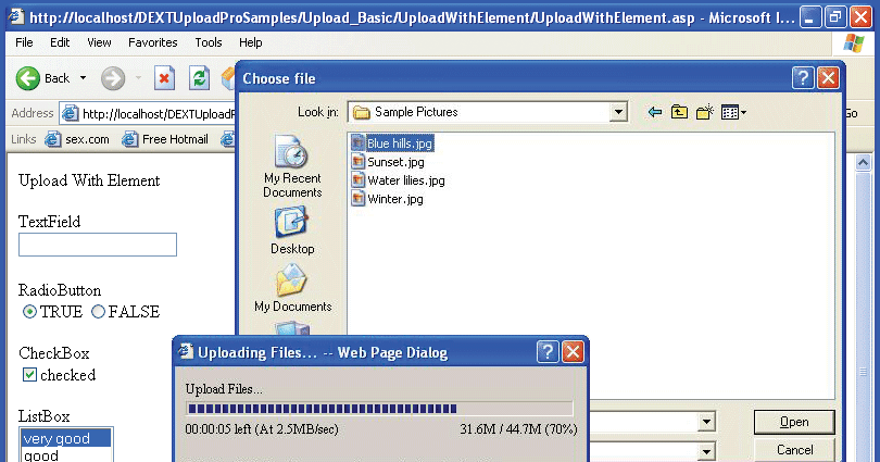 DEXTUpload .NET Pro supports ASP.NET 4.0