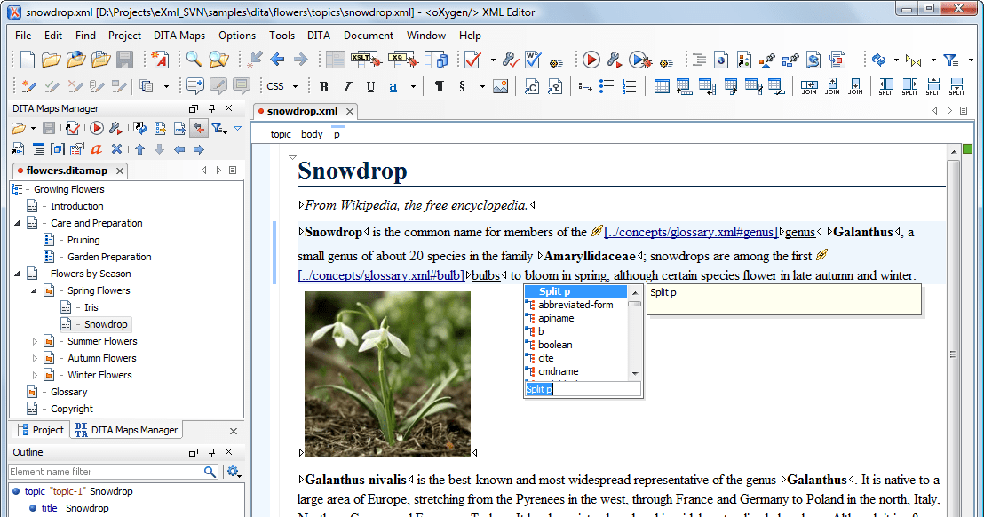 oXygen XML improves Visual XML Editing