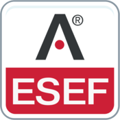 Altova European Single Electronic Format (ESEF) XBRL add-in for Excel