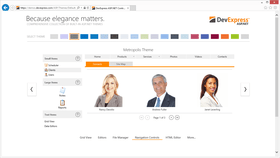 DevExpress Universal
