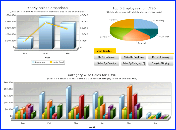 FusionCharts XT